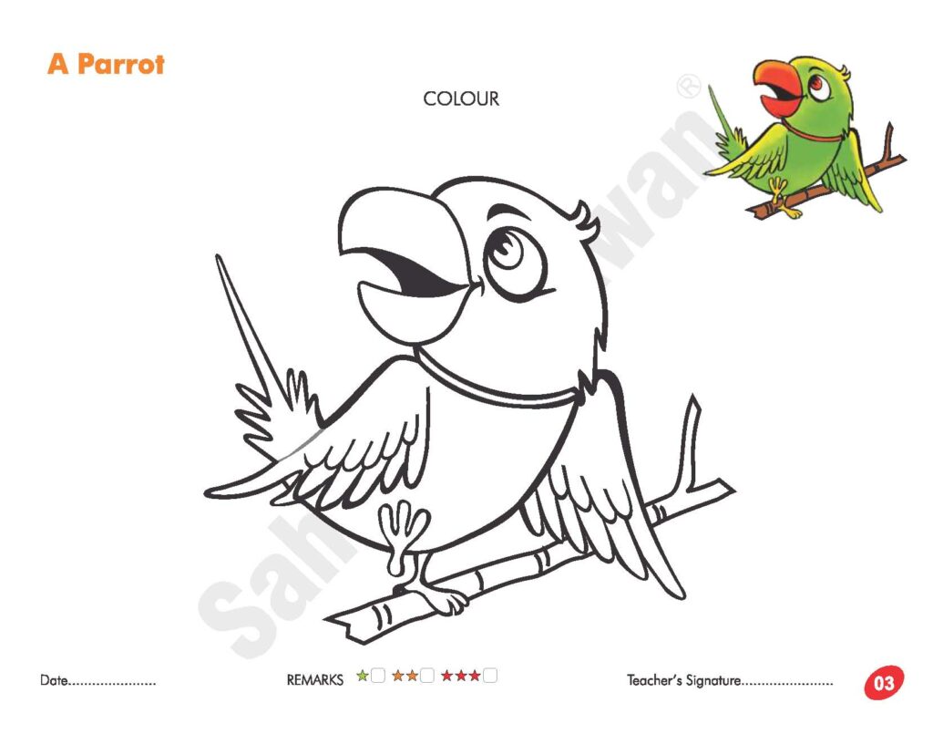 Fun with Pencil and Colour (Drawing) book for class 2 - Sahitya Bhawan